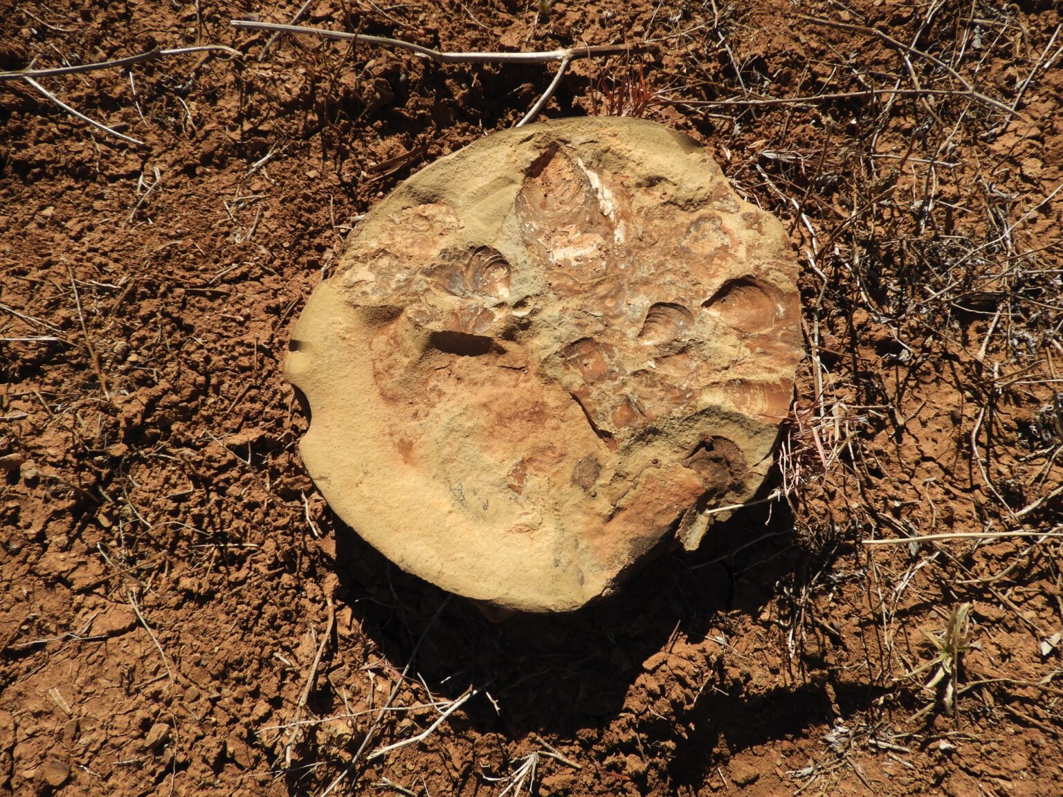 Hughenden - Visit Hughenden