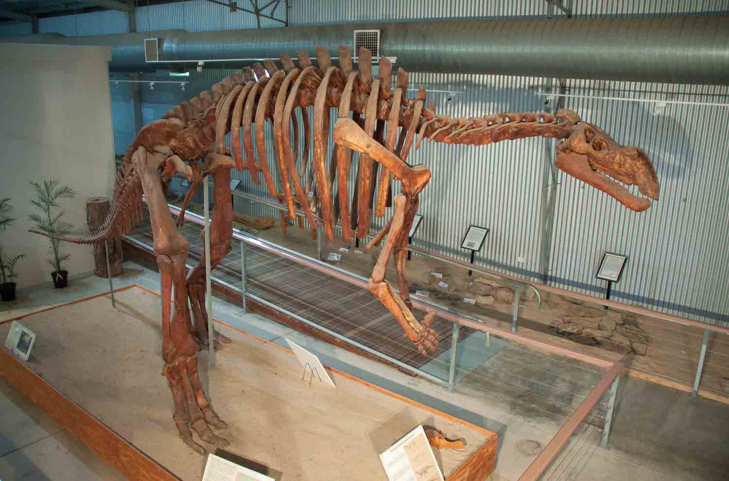 Have you discovered the Australian Dinosaur Trail? - Visit Hughenden