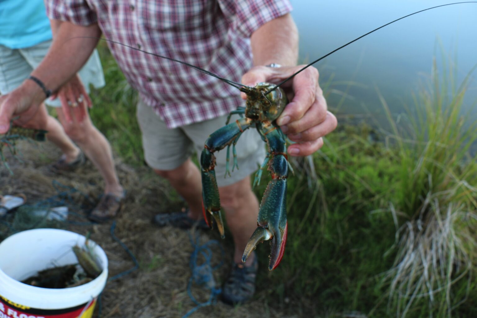 Hughenden - Visit Hughenden