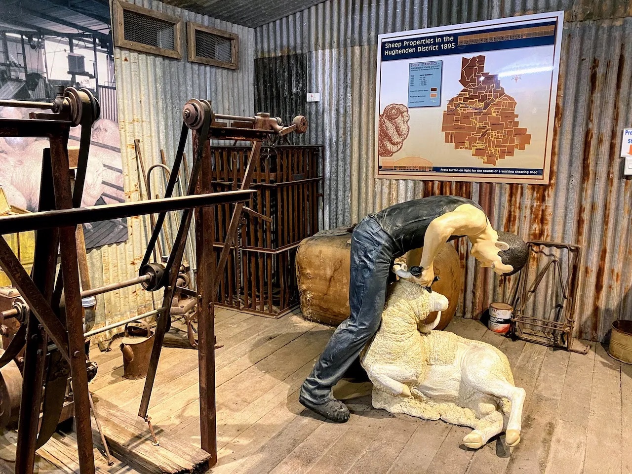 A journey through the footsteps of Australian dinosaurs! The Australian ...