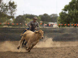 Archives: Events - Visit Hughenden