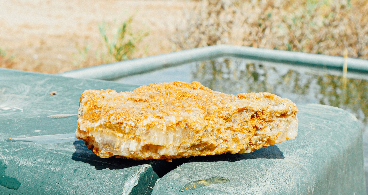 Have you discovered the Australian Dinosaur Trail? - Visit Hughenden