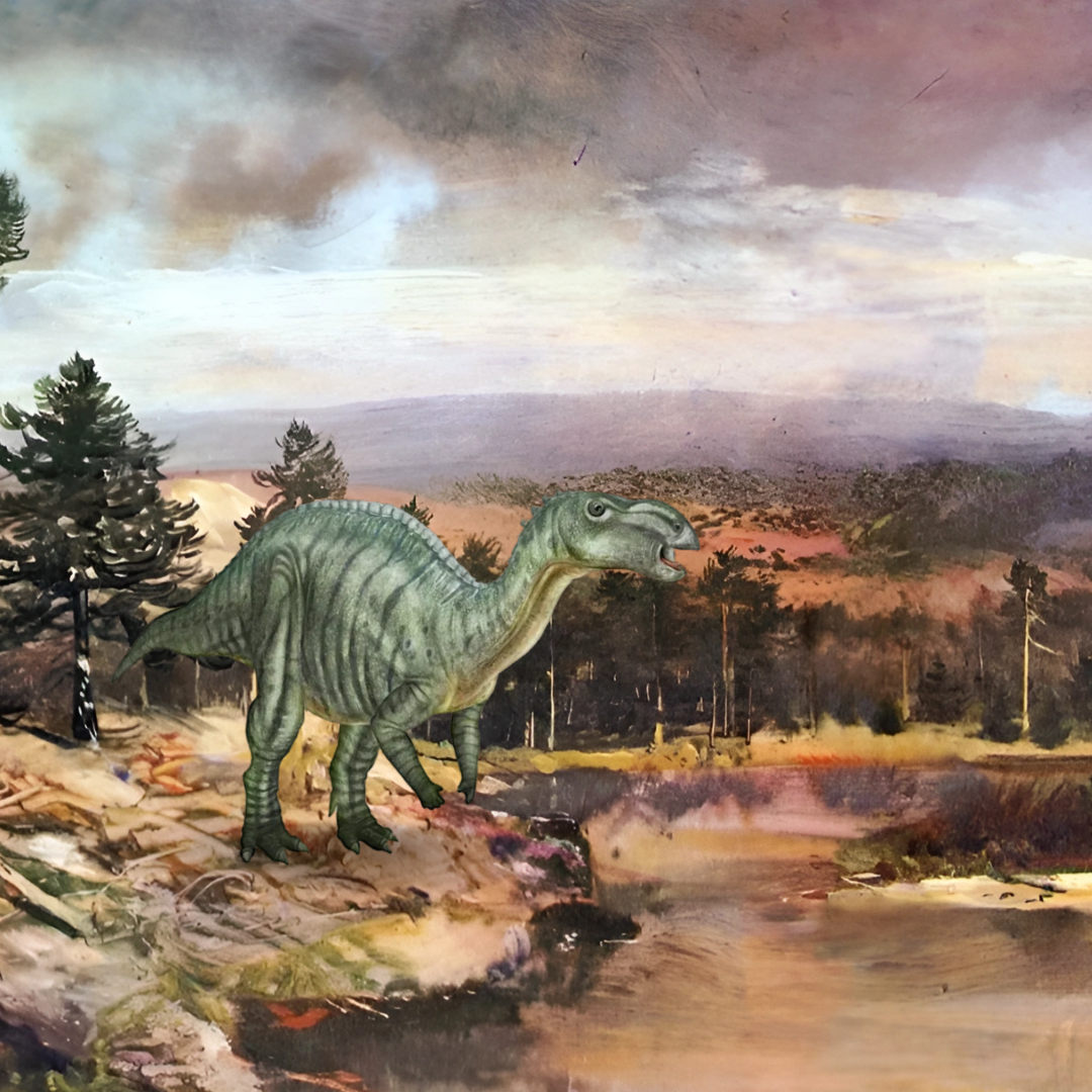 10 things you didn’t know about Hughenden - Visit Hughenden