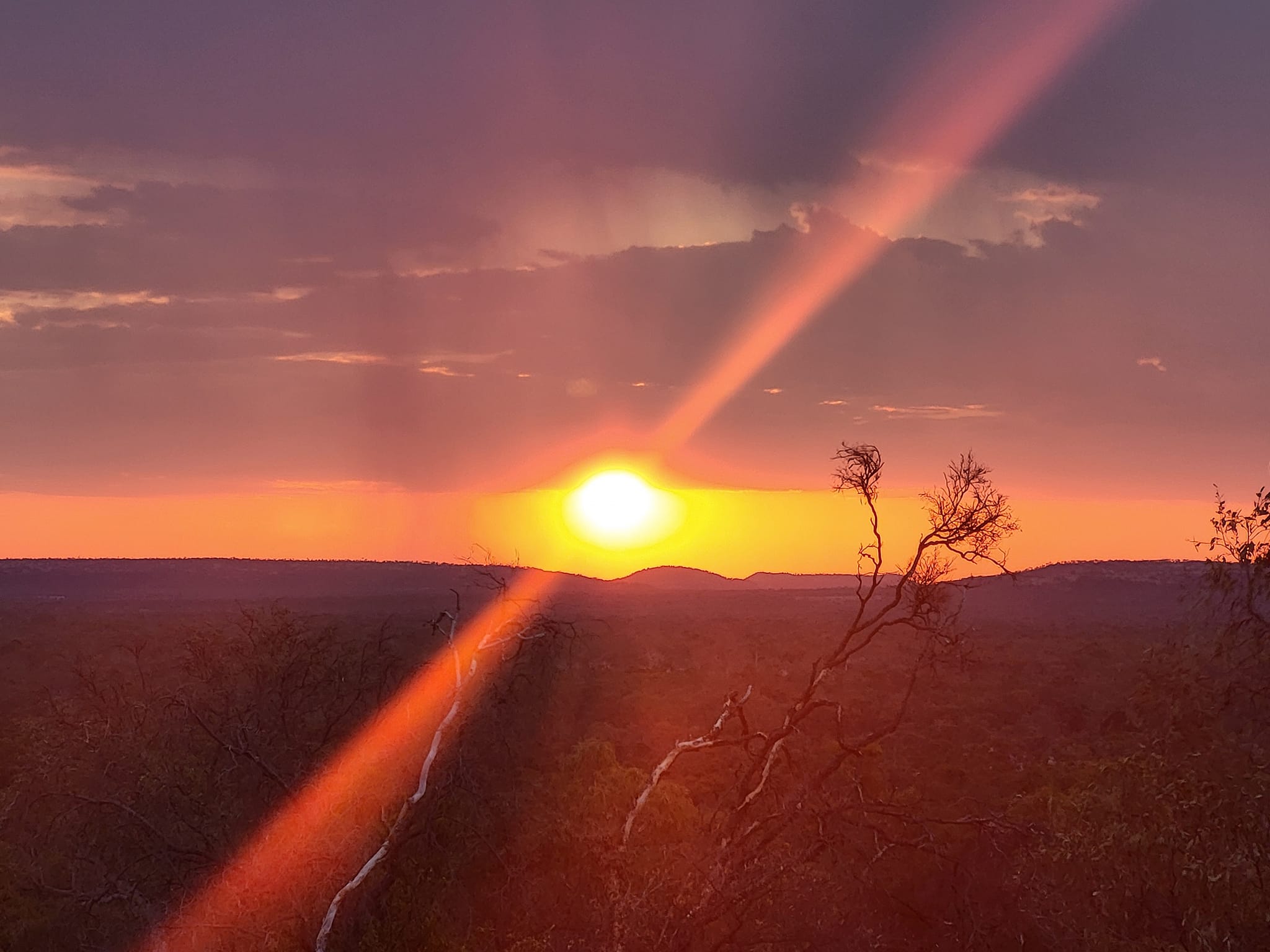 Brushstrokes of the Outback: A Tale of Art and Inspiration in Flinders ...